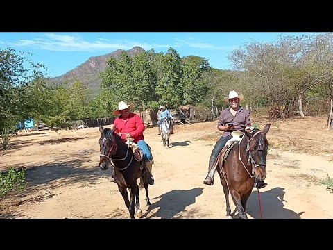🐴🌵🐮Conocimos el Chapote Concordia Sinaloa🐴🌵🐮 - YouTube
