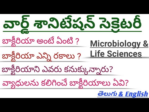 Ward Sanitation | Bacteria | Types of Bacteria | Bacterial Diseases ...