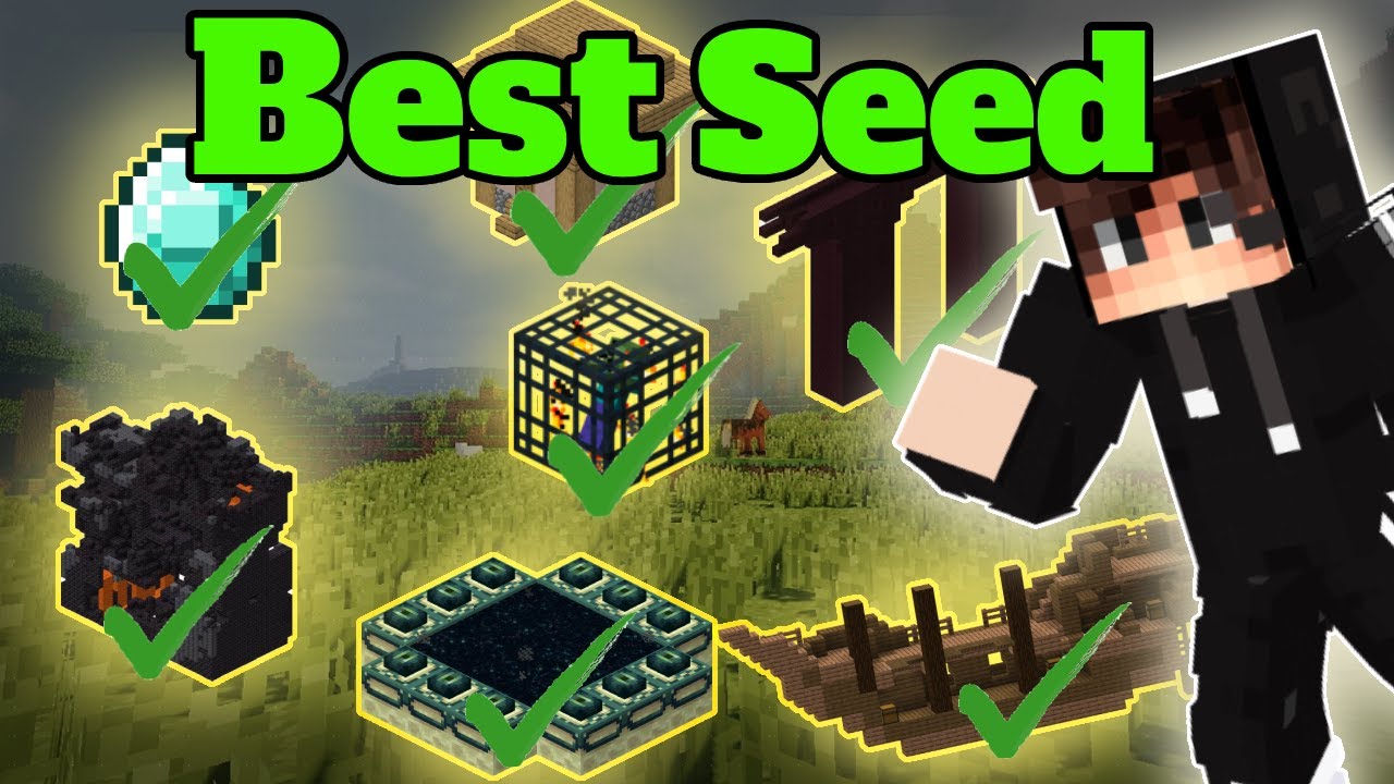 The Perfect Seed For You🔥! - YouTube