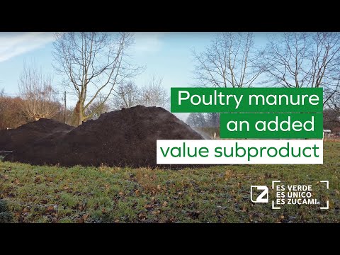 🐓💩 ♻ Poultry manure an added value subproduct. Treating and drying hen ...