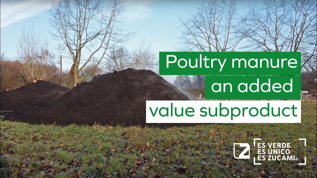 🐓💩 ♻ Poultry manure an added value subproduct. Treating and drying hen ...