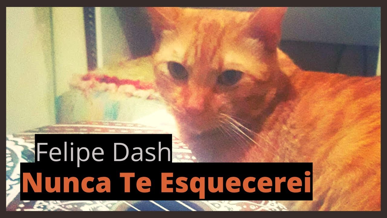 Nunca Te Esquecerei - Felipe Dash - YouTube