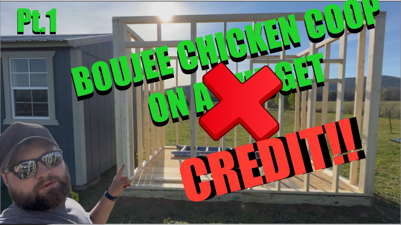 Building a BOUJEE chicken coop!!! - YouTube