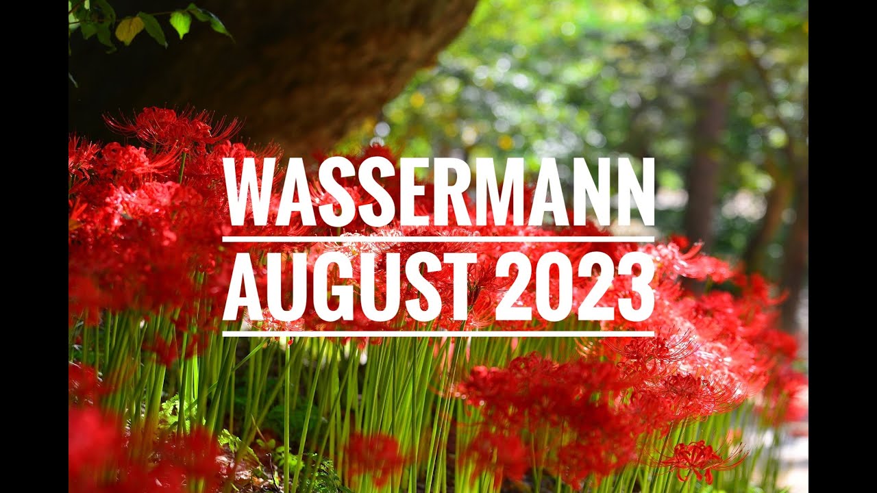 Wassermann August 2023 - Im Gefühl liegt der Schlüssel - YouTube