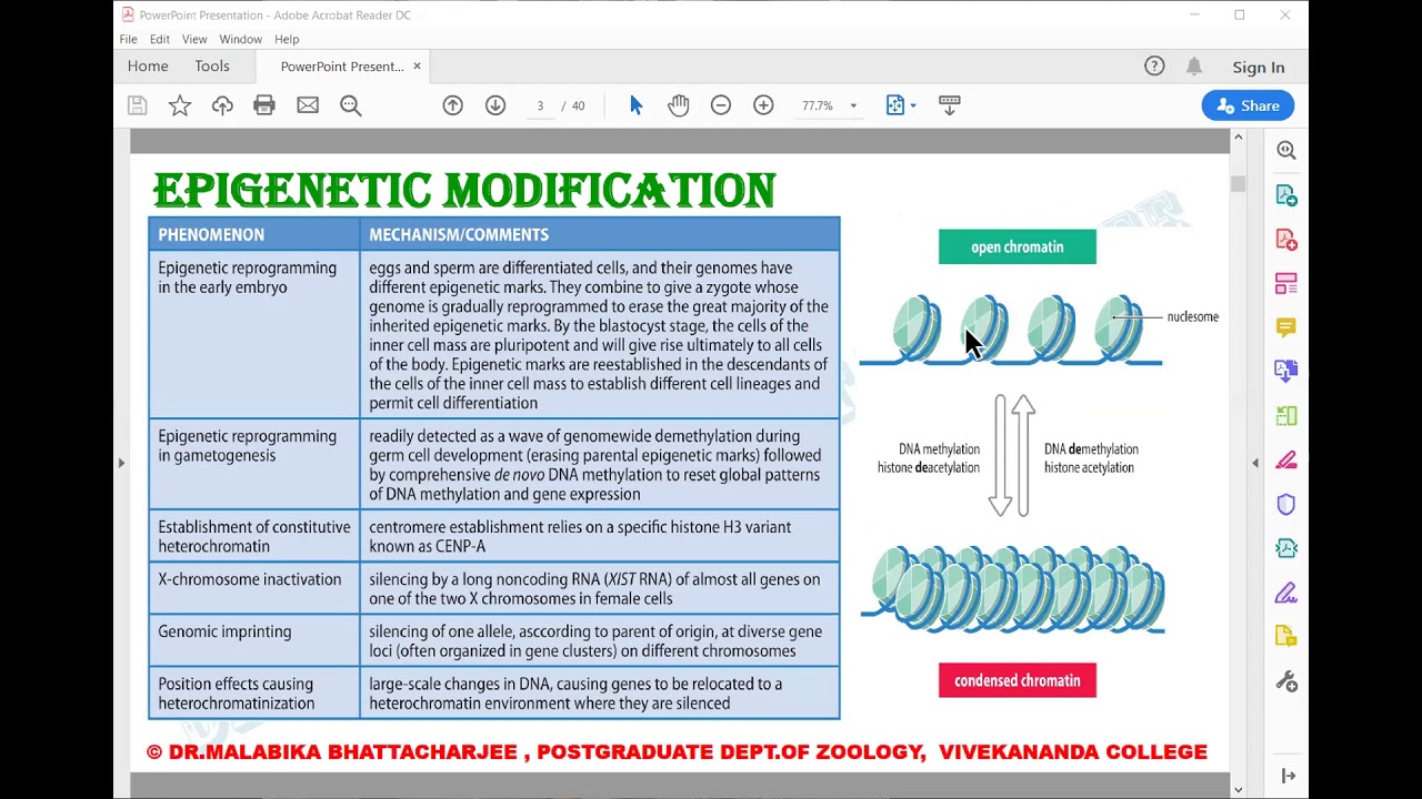 Epigenetic Modification(Histone Acetylation) Lecture 1 - YouTube