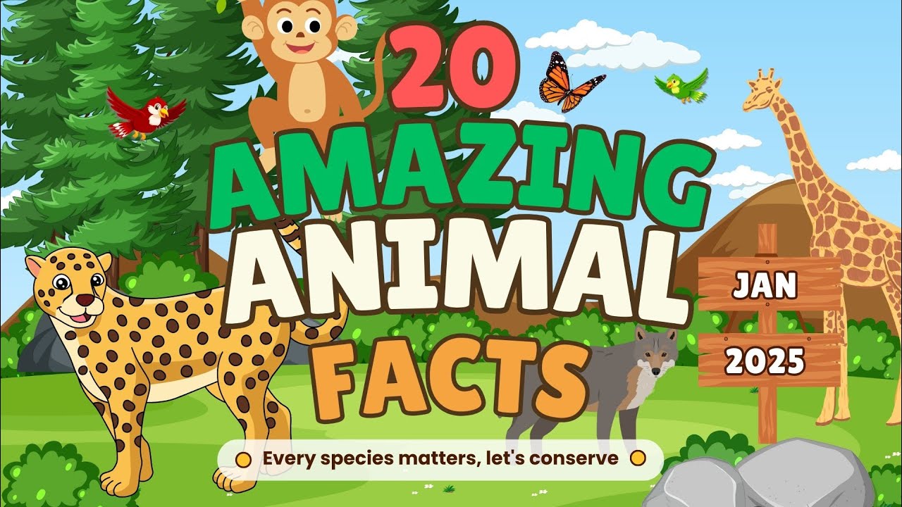 20 Amazing Animal Facts - YouTube