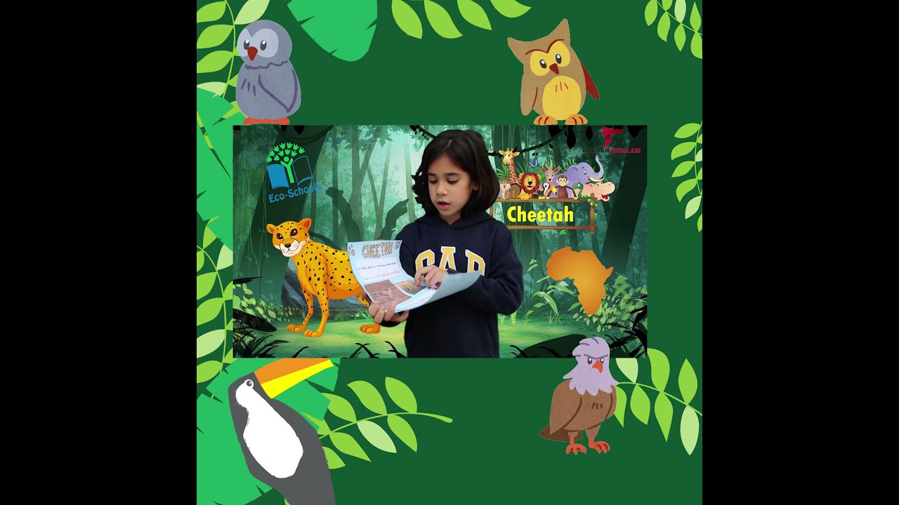 Hayvanların Yaşam Alanları Eko Okul projesi / Eco School Project in ...