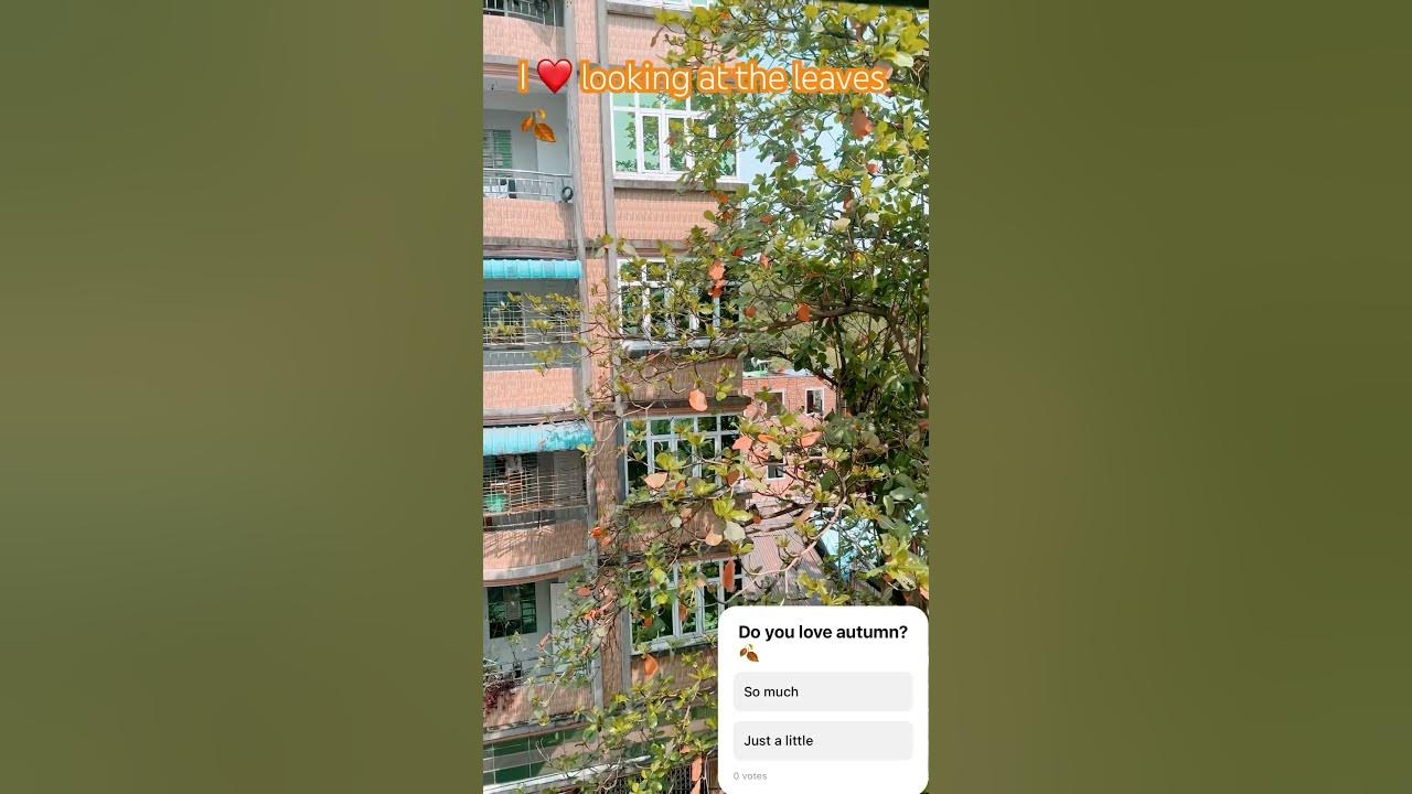 Watching the leaves fall down 🍃🍁🍂 - YouTube