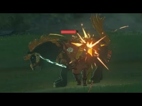 Fight Blademaster (SBR + TCR) feat. Horse Kick - Zelda BOTW Learn ...