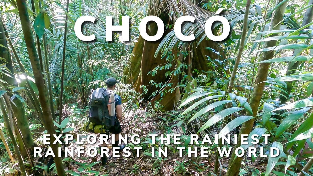 Chocó - Exploring the rainiest rainforest in the world | PT 1/2 - YouTube
