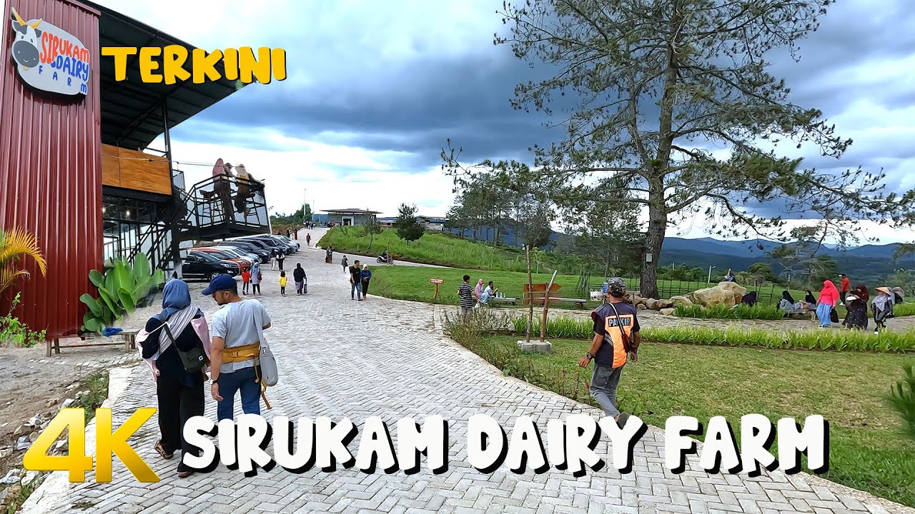 Peternakan Sapi Perah Sirukam: Pengalaman Pendidikan Modern di Solok ...