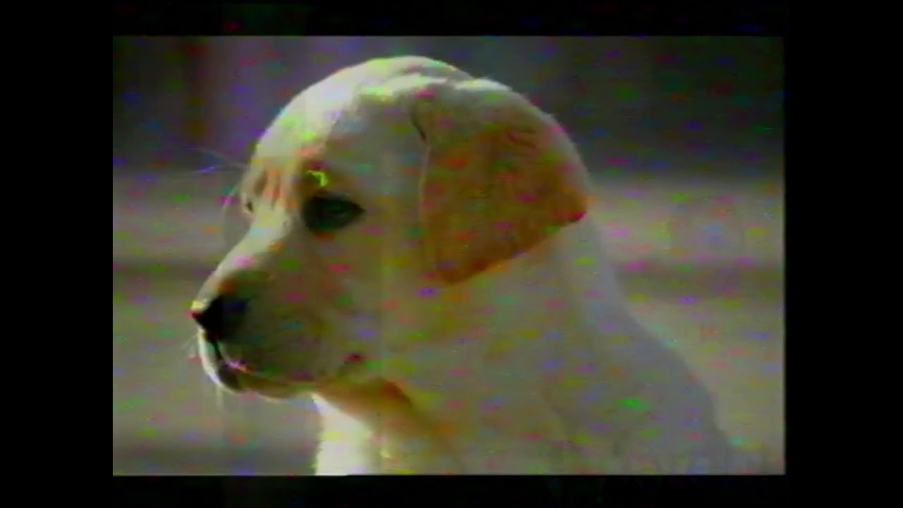 Andrex Toilet Paper Commercial 2008 - YouTube