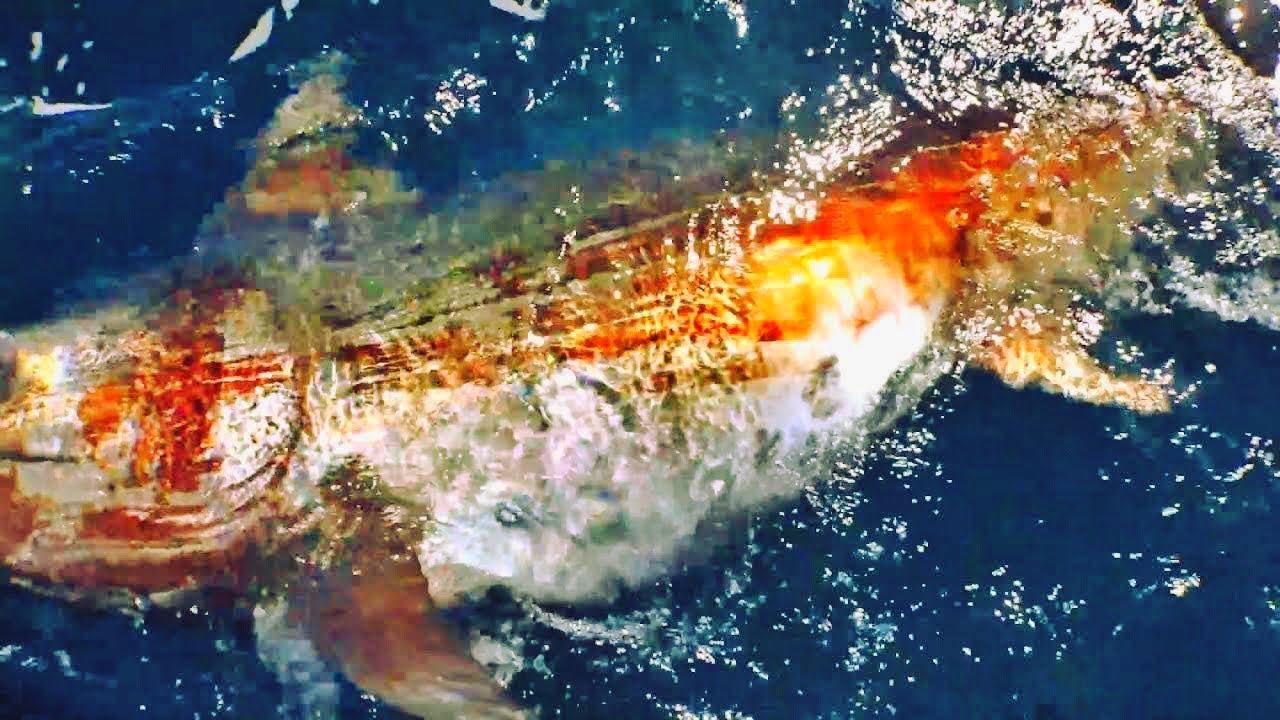Giant swordfish hauled up from 1500ft deep hole in the ocean! - YouTube