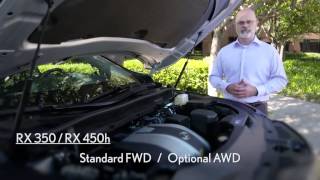 2016 Lexus RX Walkaround