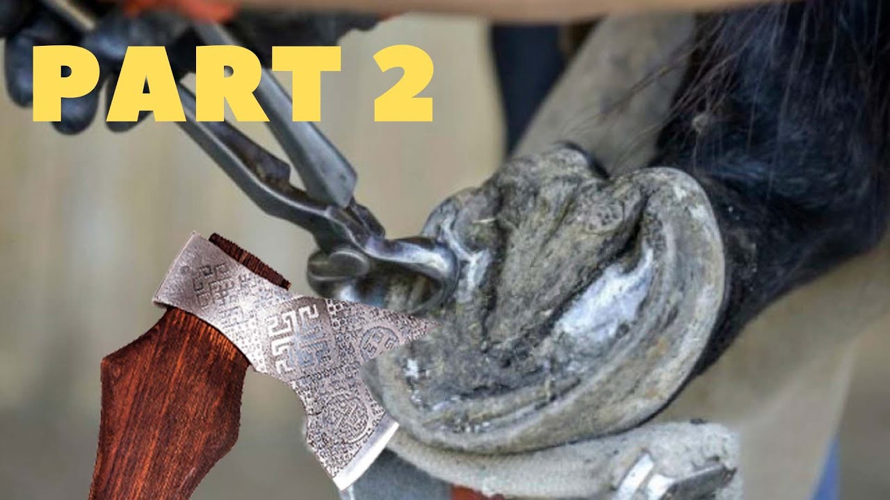 PART2 | How are hooves cleaned?| Hoof cleaning USA - YouTube