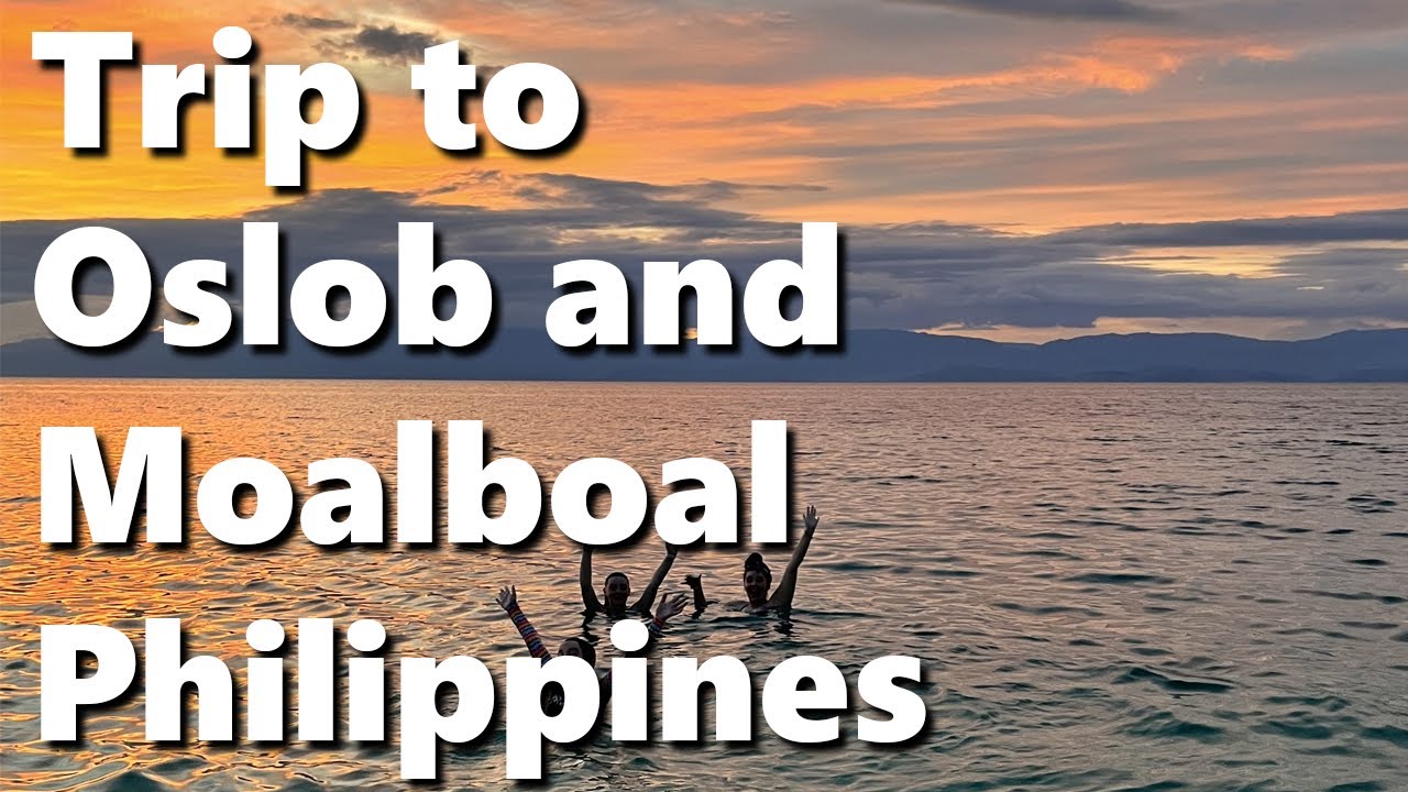 Trip to Oslob and Moalboal 🇵🇭 - YouTube