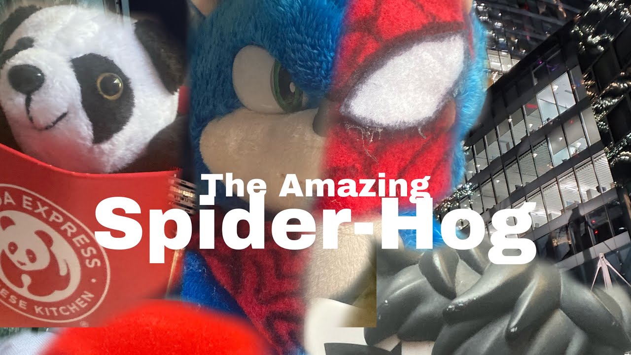 The Amazing Spider-Hog | Super Sonic Productions | Ep 5 - YouTube