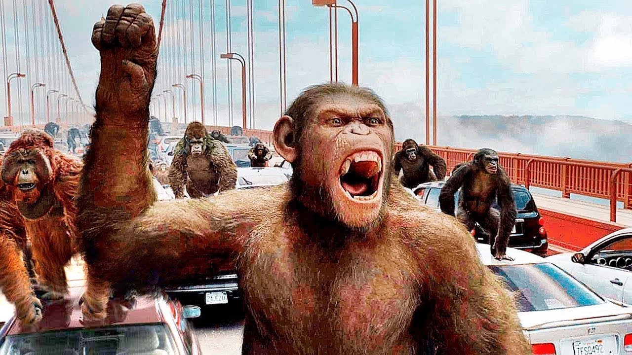 La batalla de los humanos y los simios altamente inteligentes - YouTube