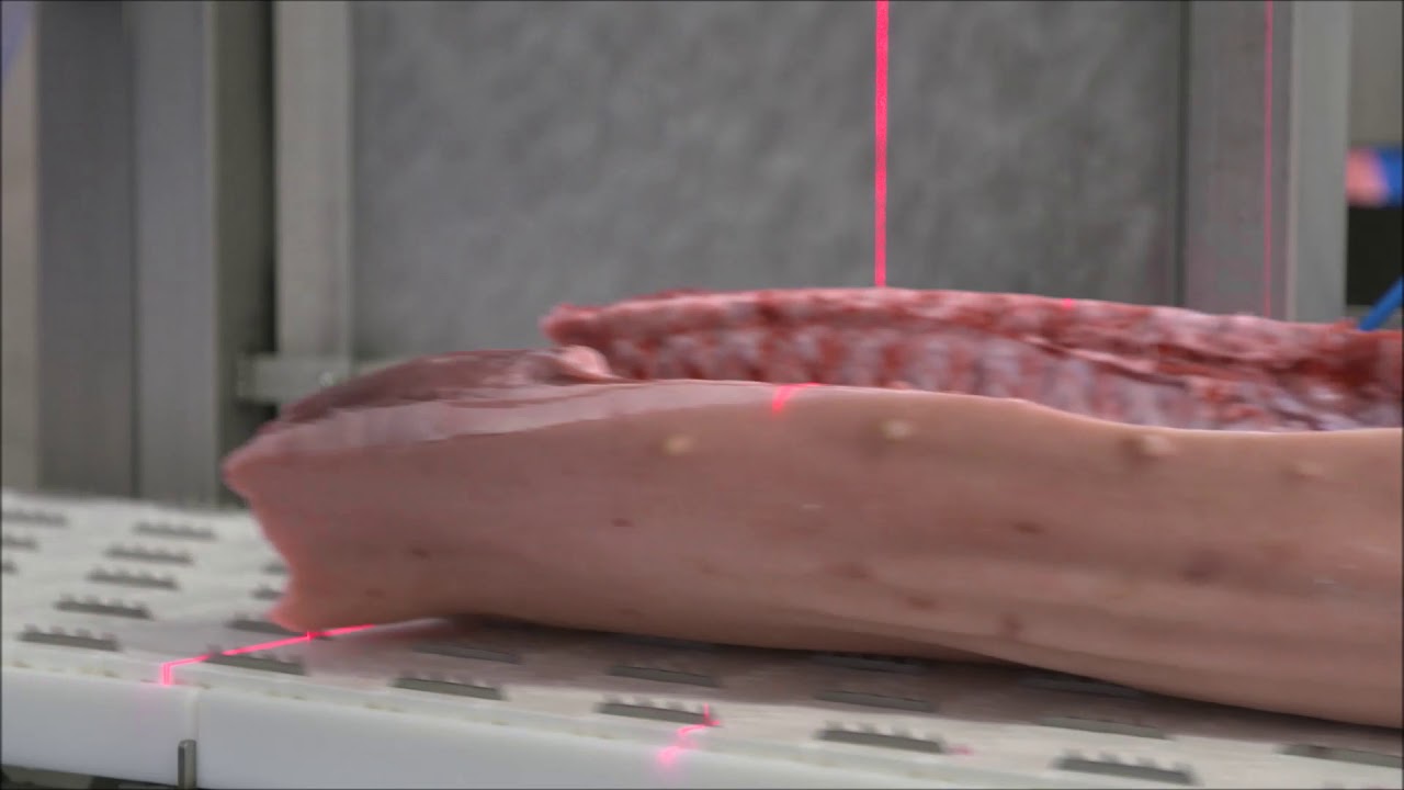 Frontmatec Pork Solutions Automatic Chine Bone Saw Youtube