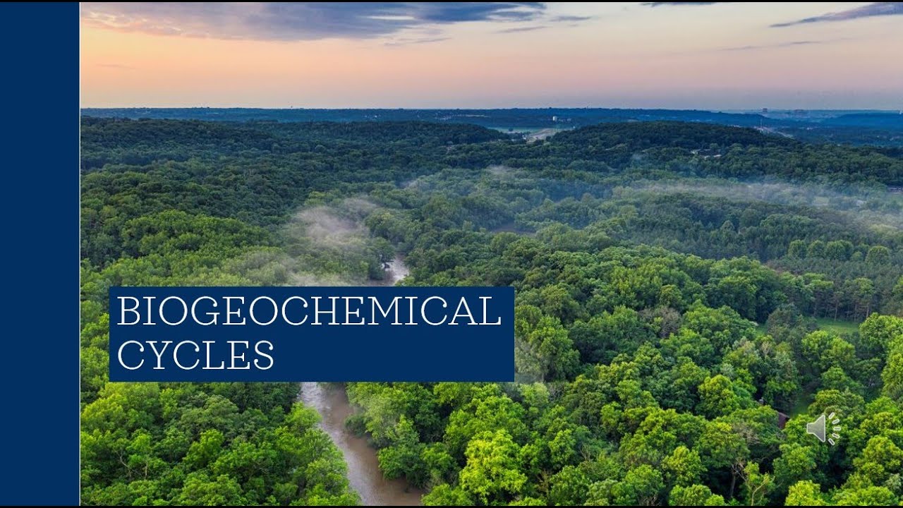 APES 1.iii Biogeochemical Cycles Lecture - YouTube