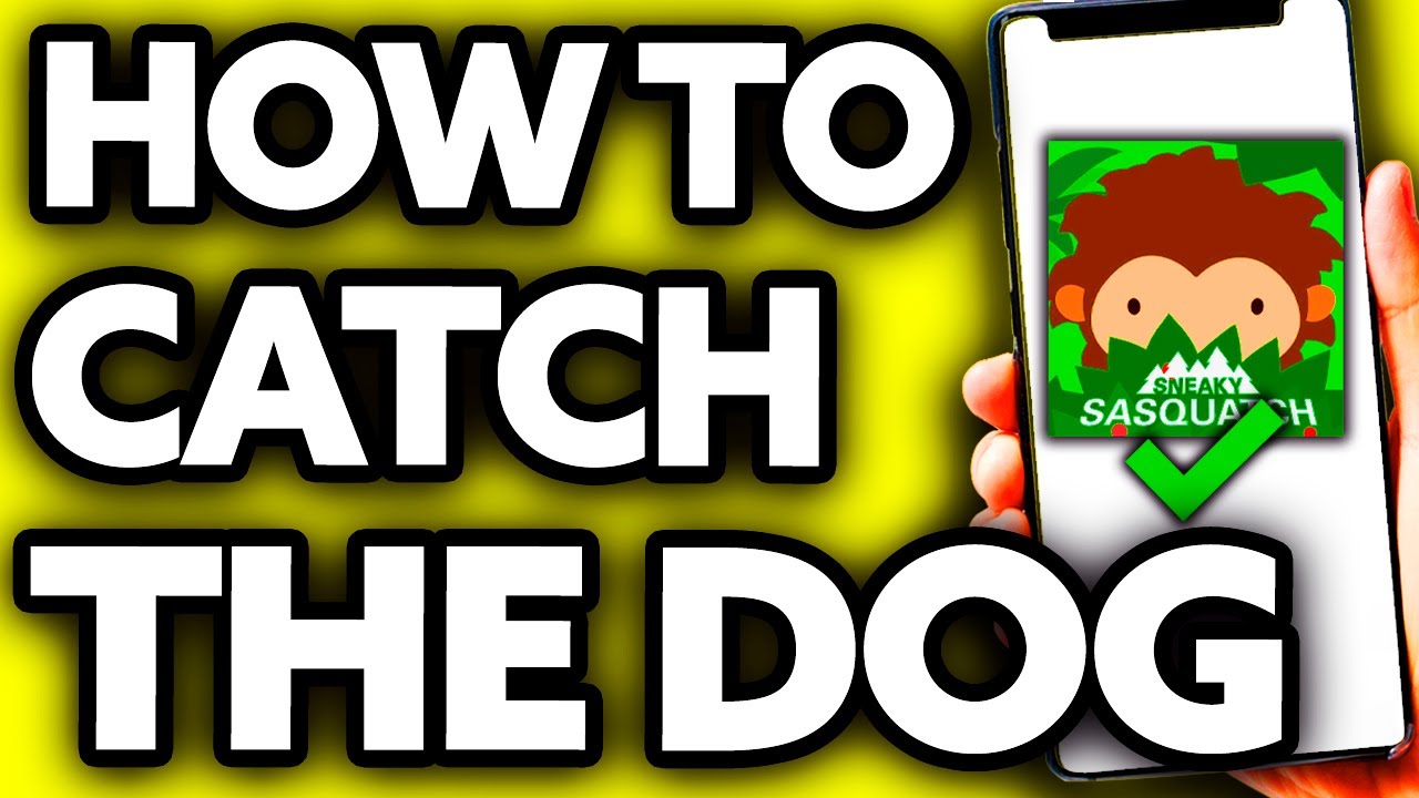 How To Catch The Dog in Sneaky Sasquatch (Very EASY!) - YouTube