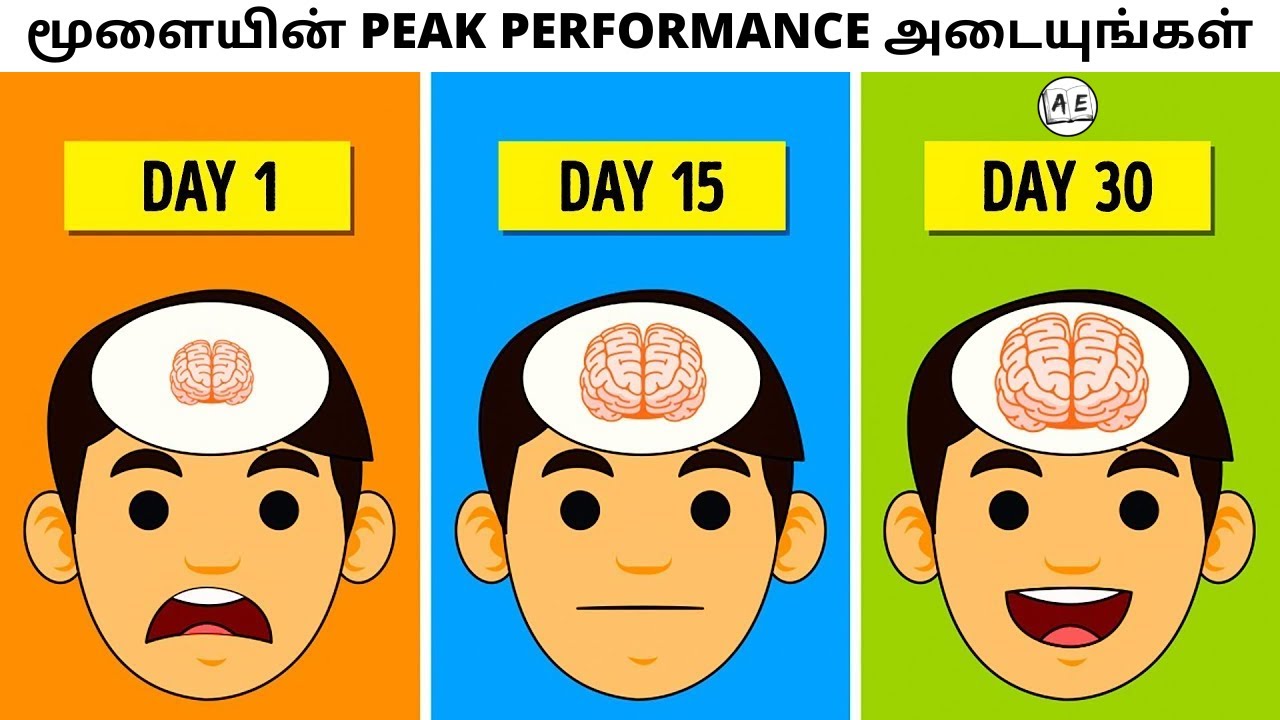 How To Increase Focus And Brain Power Tamil 3 Steps To Become A how-to-increase-focus-and-brain-power-tamil-3-steps-to-become-a
