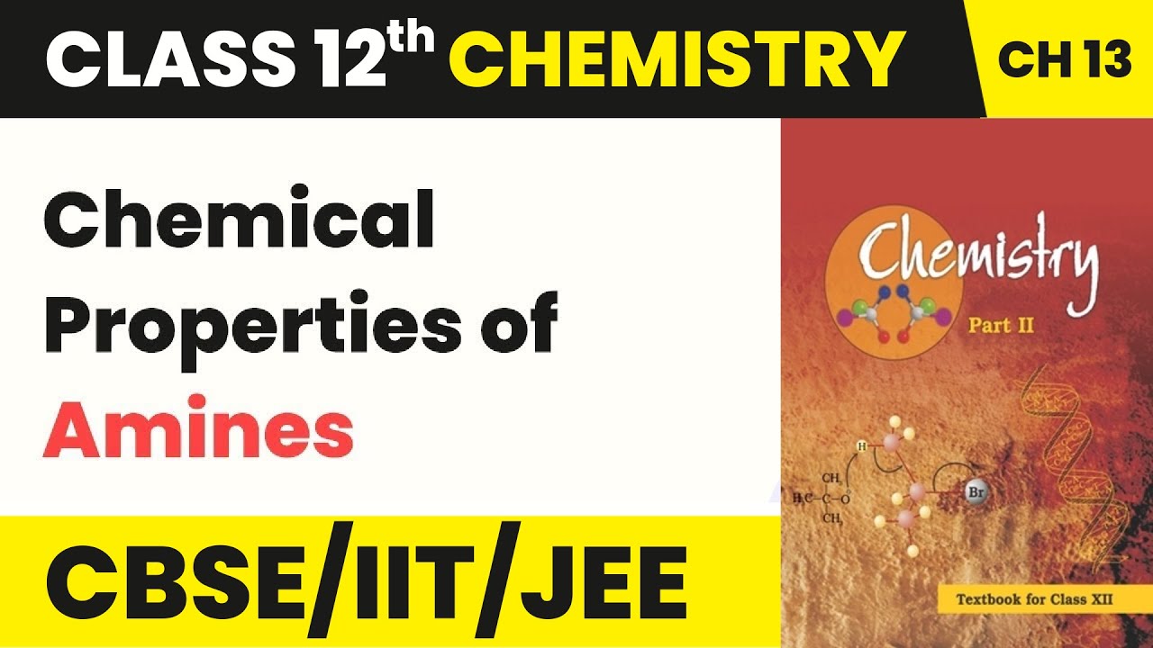 Chemical Properties of Amines | Class 12 Chemistry Chapter 13 - YouTube