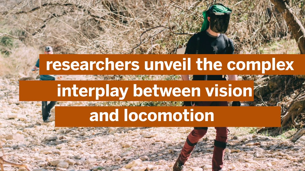Watch Your Step: How Vision Leads Locomotion - YouTube