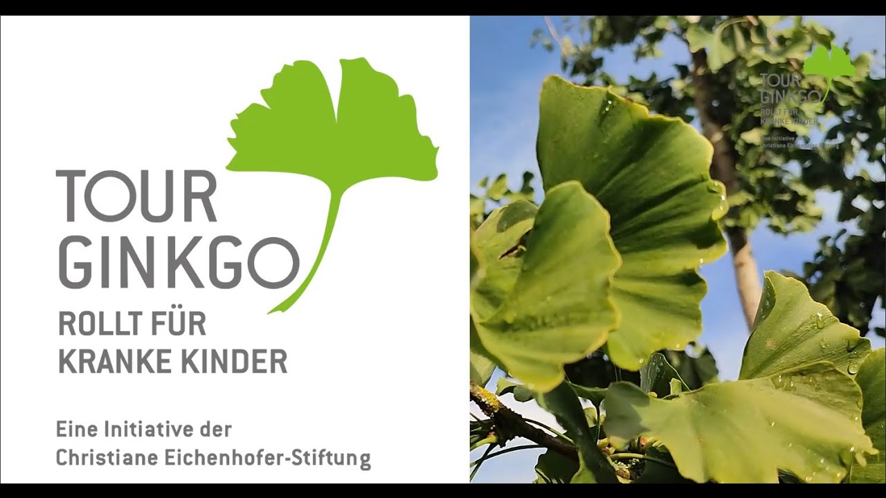 Tour Ginkgo 2024