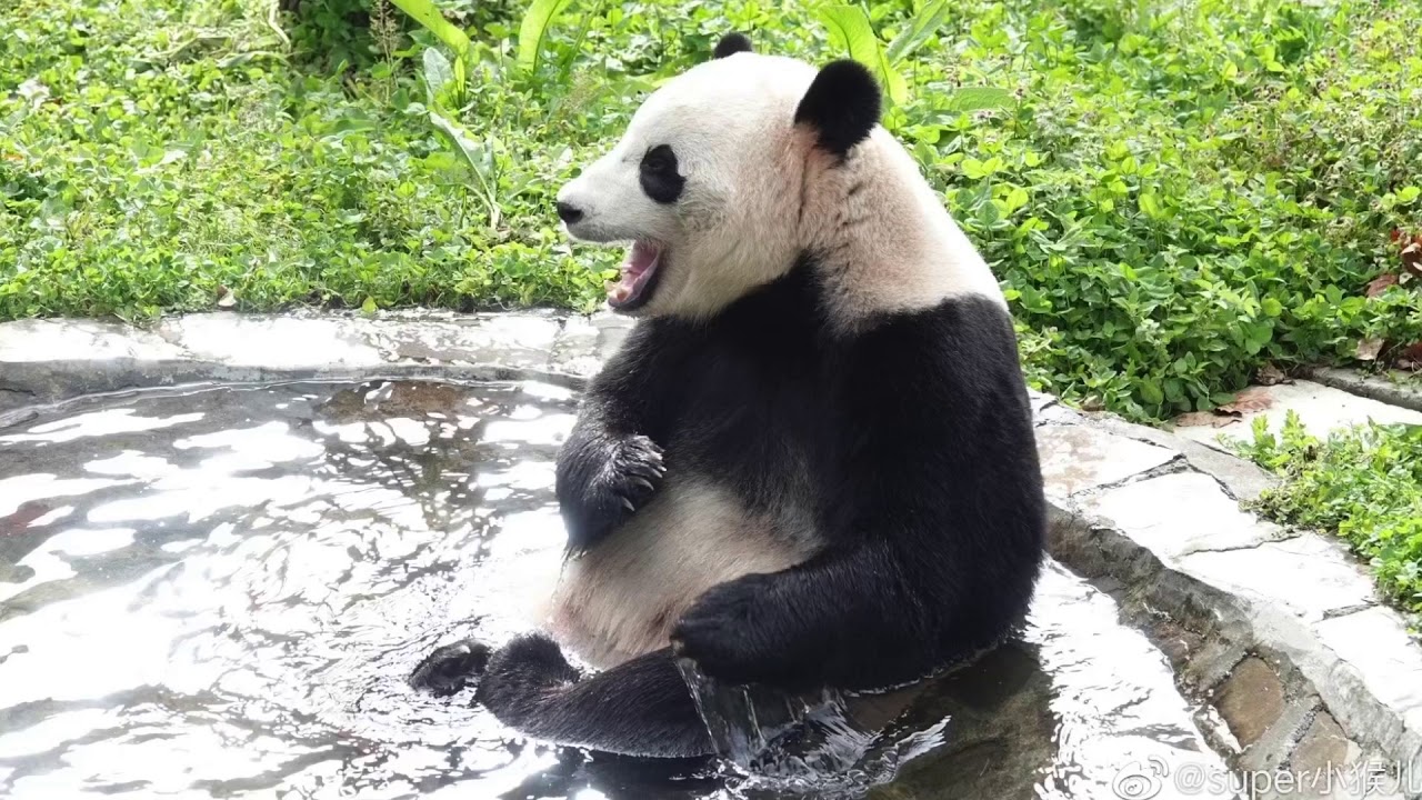 Princess Bao Bao Bath!!💝🐼👑🛀🏾 - YouTube