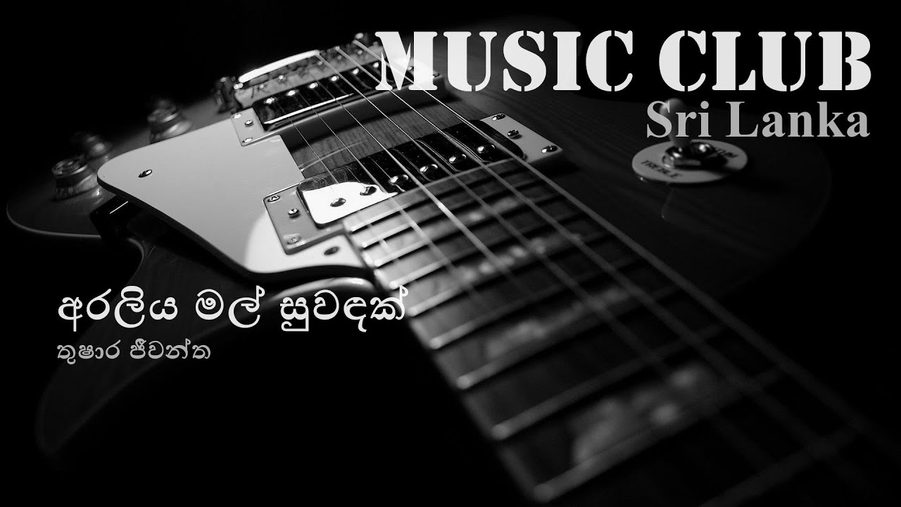 Thushara Jeewantha - Araliya mal suwandak | තුෂාර ජීවන්ත - අරලිය මල් ...