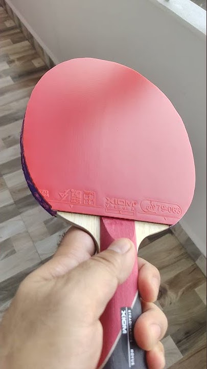 New Xiom Stradivarius blade with Omega 7 Europe (black) and Vega X (red) Rubbers - YouTube