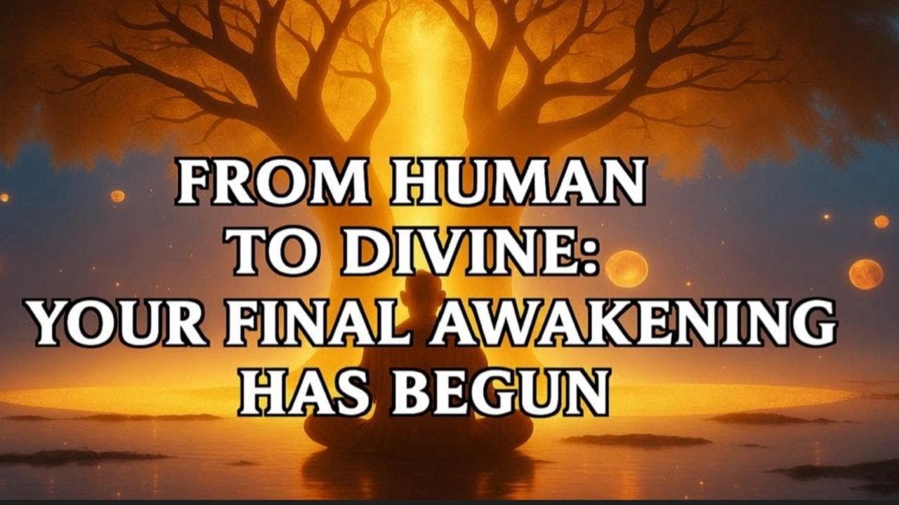 You Were Never Human… The 12 Stages From Hue-Man To Pure CONSCIOUSNESS ...