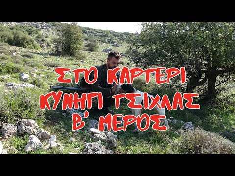 ΣΤΟ ΚΑΡΤΕΡΙ ΚΥΝΗΓΙ ΤΣΙΧΛΑΣ ΝΟ2 - YouTube