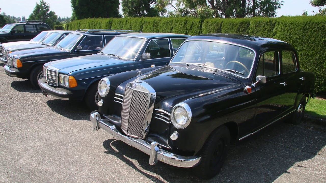 "Parade" of Old Mercedes Diesels: These Are What "Hooked Me" 25 Years ...