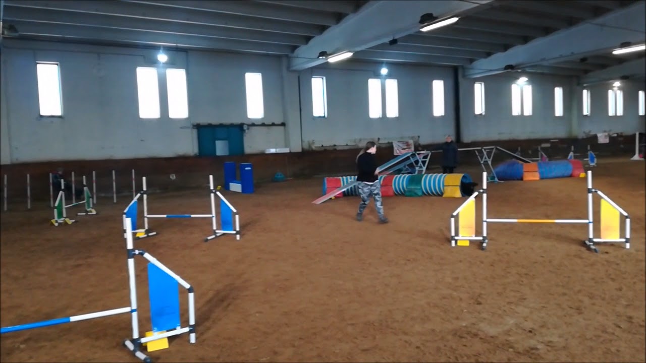 Muri - Agility weekend: ŠKD Emona (10.3.2018) & KOSSP Zagreb (11.3.2018 ...