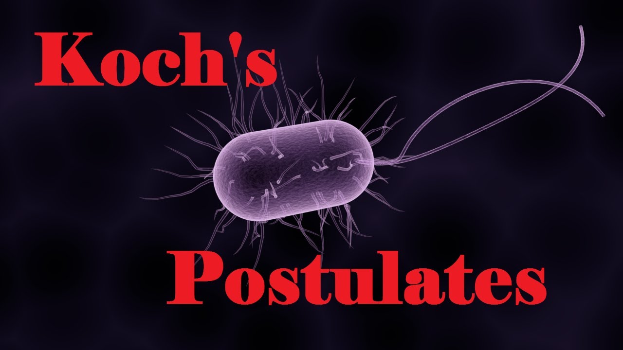 Robert Koch's Postulates - YouTube