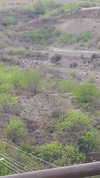 G3 DMR setup - YouTube