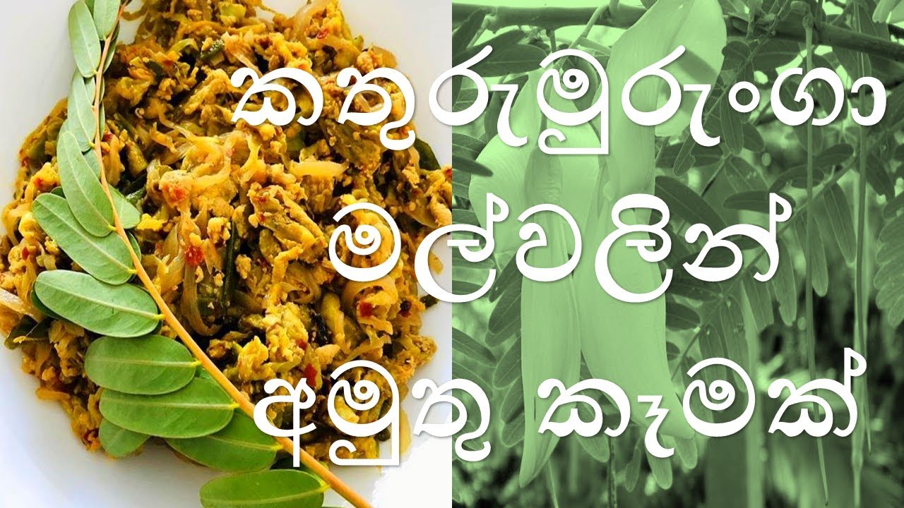 Kathurumurunga Mal Baduma රස ගුණ පිරි කකතුරුමුරුංග මල් බැදුමක් හදමු ...