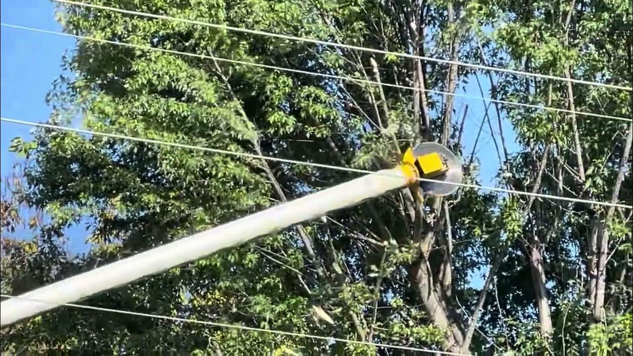 Grapple-Saw Crane in Action Trimming Trees Near Power Lines Near Union, Missouri - YouTube