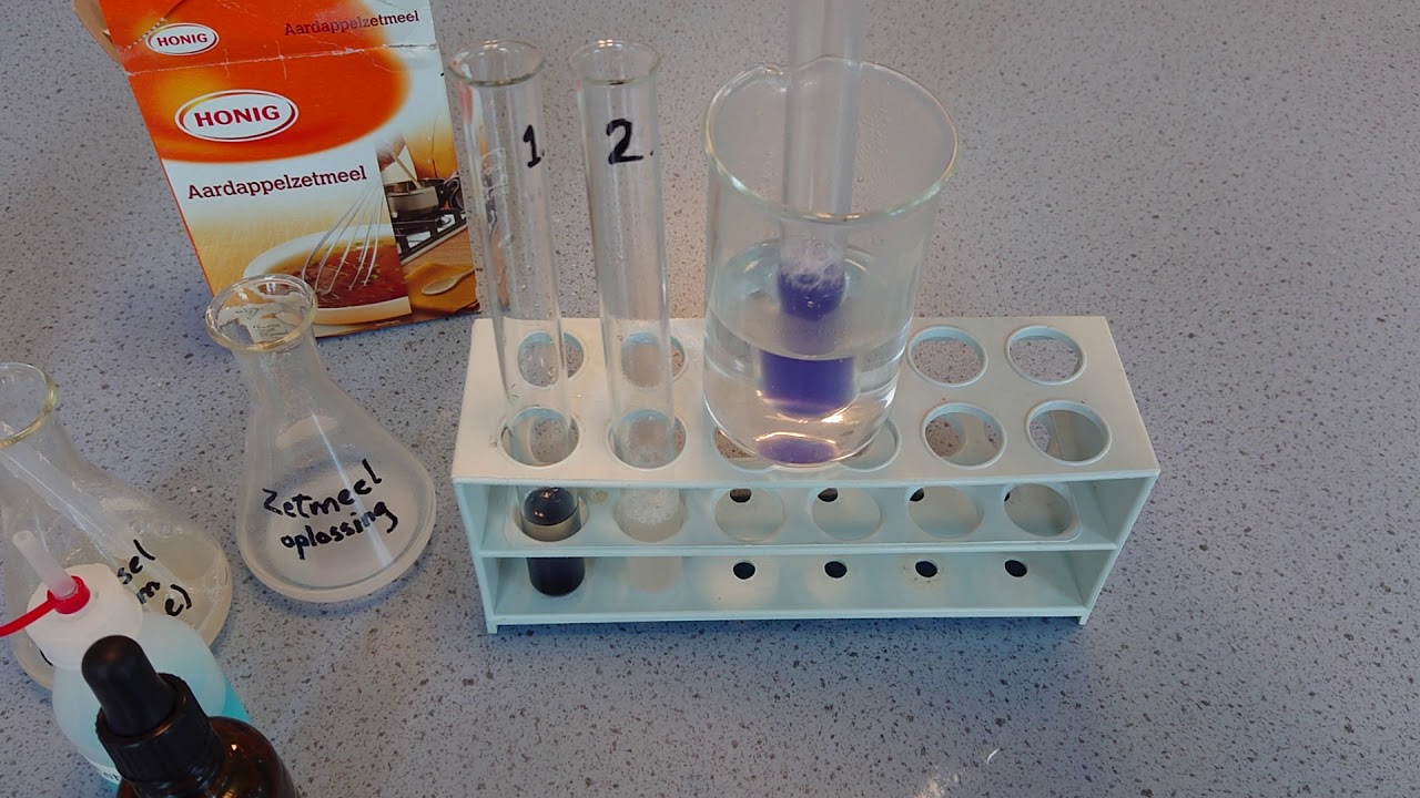 Werking van amylase op zetmeel - YouTube