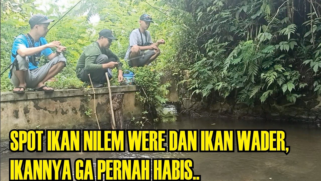 spot mancing ikan melem / nilem paling adem‼️bikin ga mau pulang - YouTube