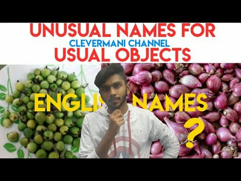 Unusual Names for usual objects | Sundakkai | CleverMani | - YouTube