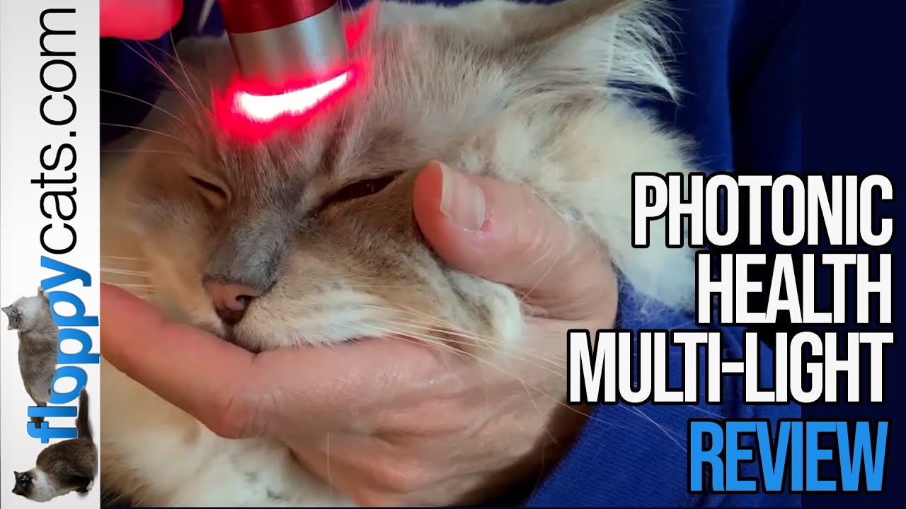Light Therapy for Cats: Photonic Health Multi-Light Product Review ...