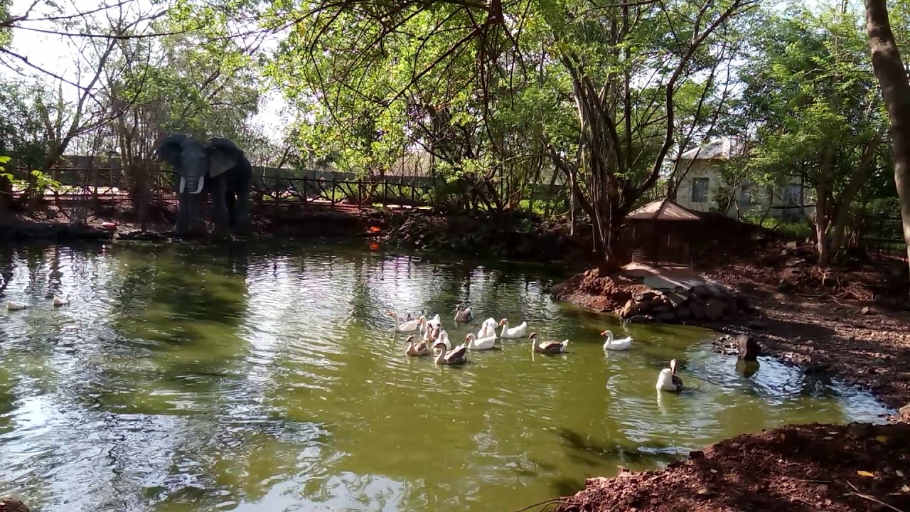 Taljai Hill, Pune - YouTube