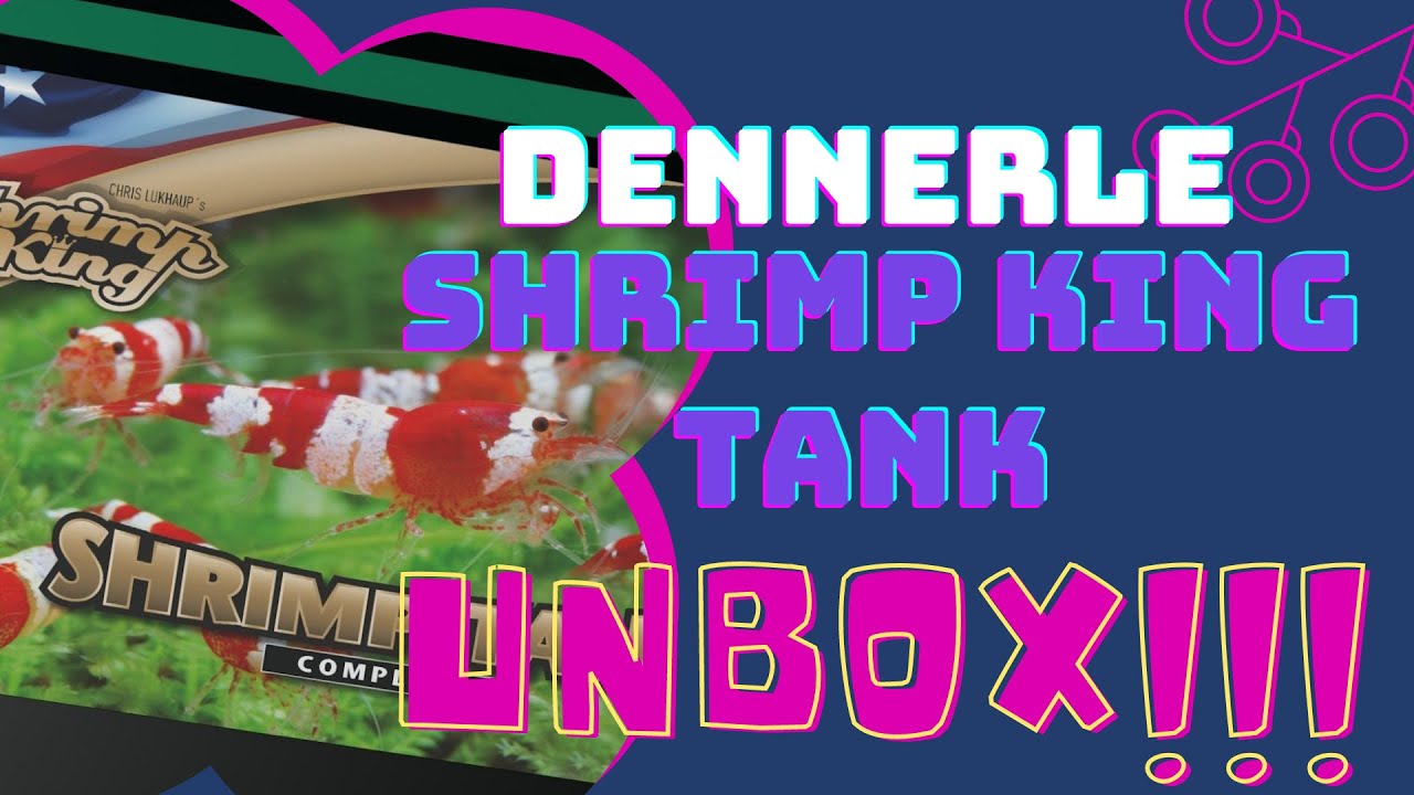 Unboxing the New Dennerle 10 Shrimp King Tank - YouTube
