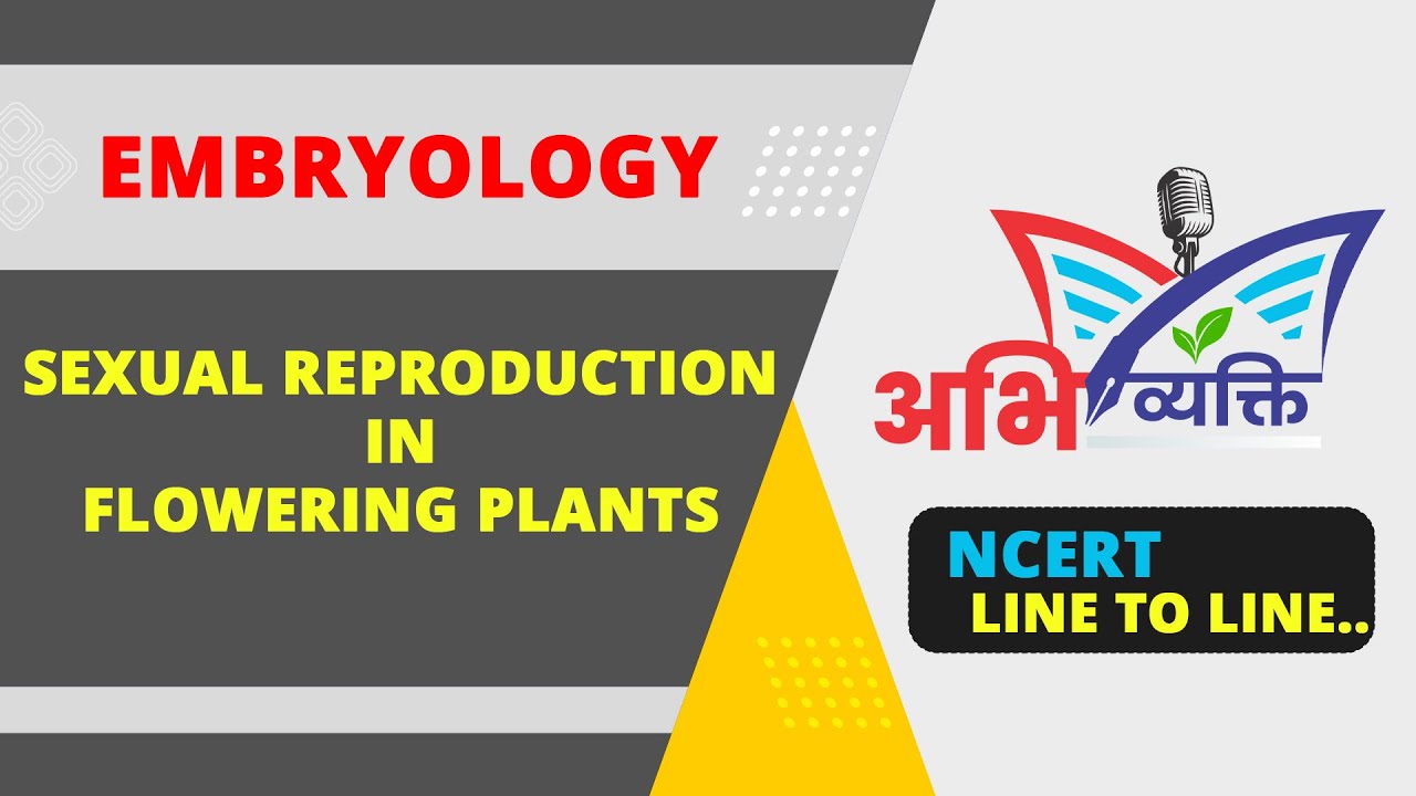 NCERT REVISION SERIES:Sexual Reproduction In Flowering Plants..LINE to ...