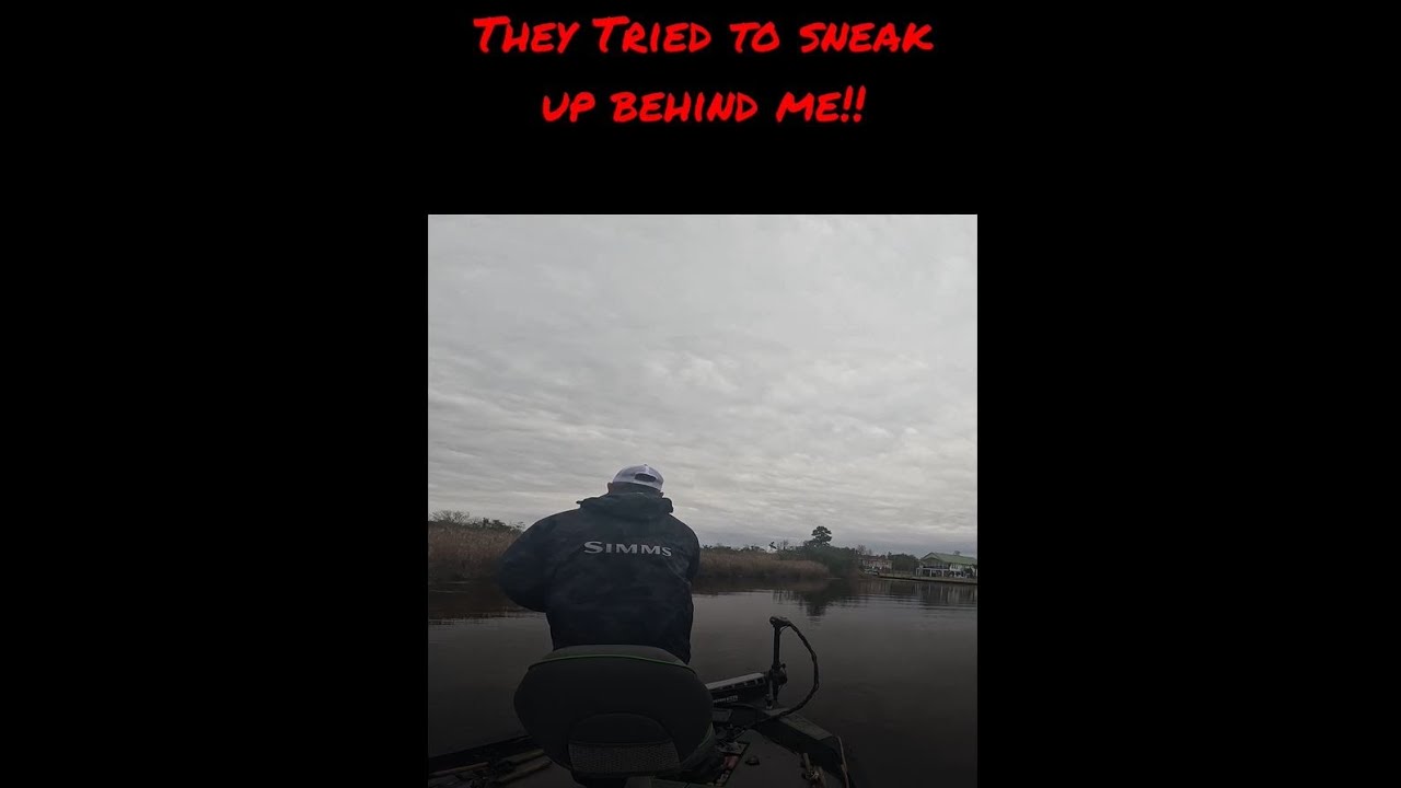 They tried sneaking up behind me!! - YouTube