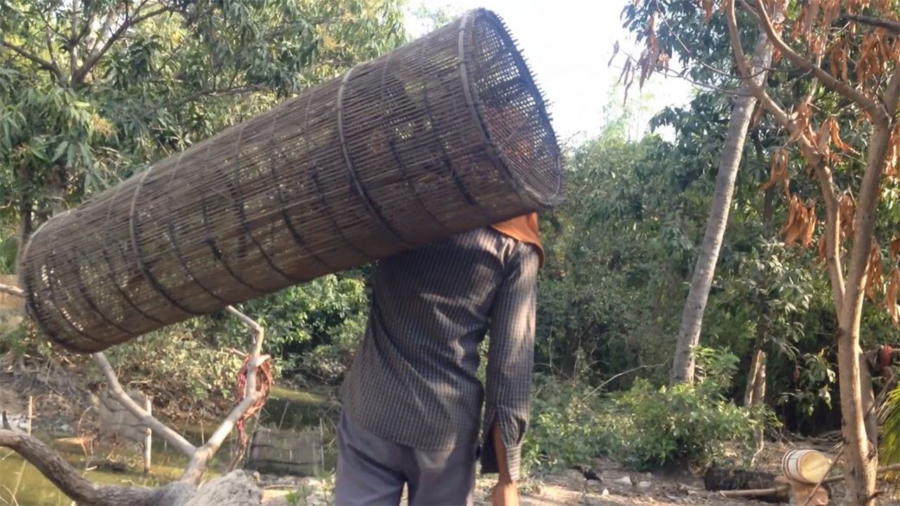 Wow Amazing Big Bamboo Trap At Kandal Cambodia | Simple Bamboo Trap ...