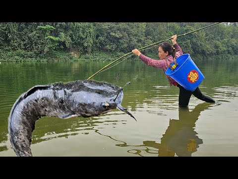 Traditional fishing techniques - Single mother risks catching giant fish in the deep river.